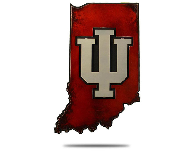 Iu Health Logo